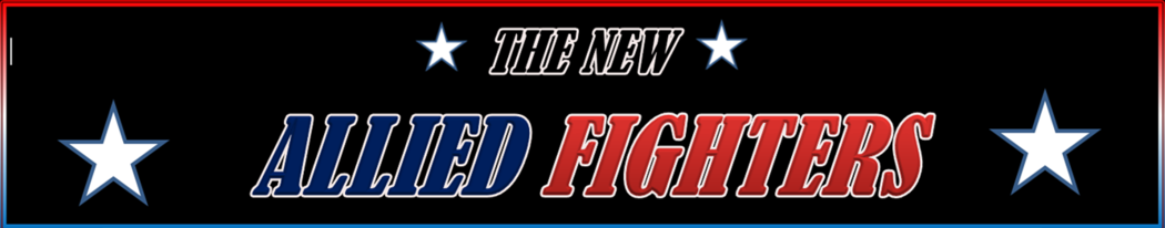 New Allied Fighters - MMO Comic Index